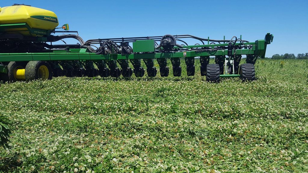 April 5, 2019 - FIXatioN balansa clover