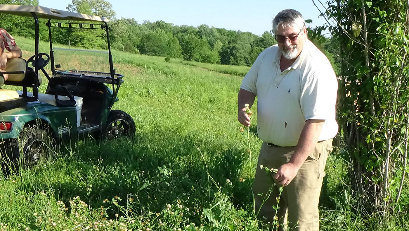Honey Farm - Foutain Inn/SC - FIXatioN balansa clover